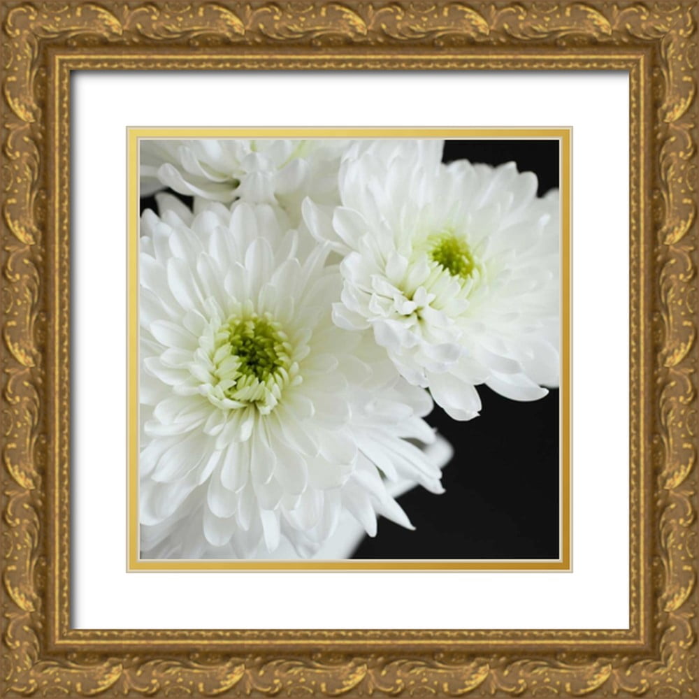 Susannah Tucker Photography 26x26 Gold Ornate Wood Framed with Double ...