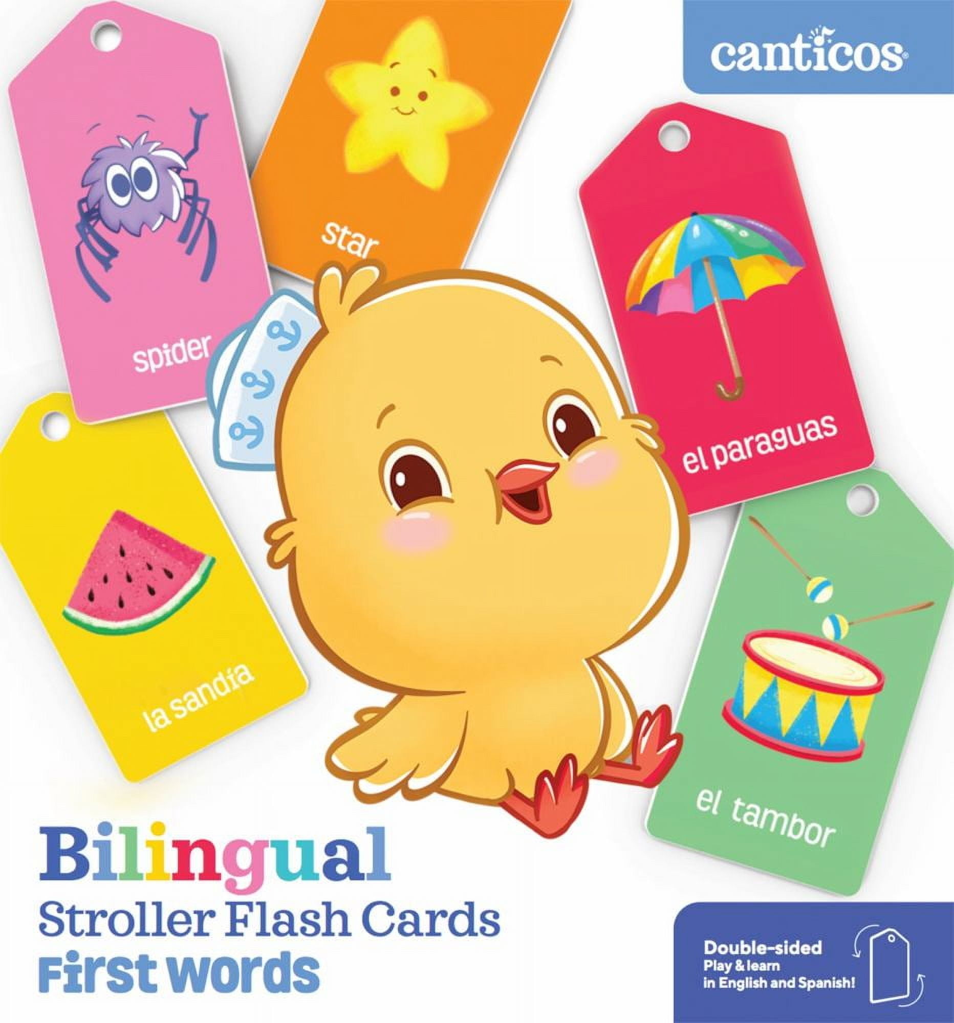Susie Jaramillo: Canticos Bilingual Stroller Flash Cards: First Words ...