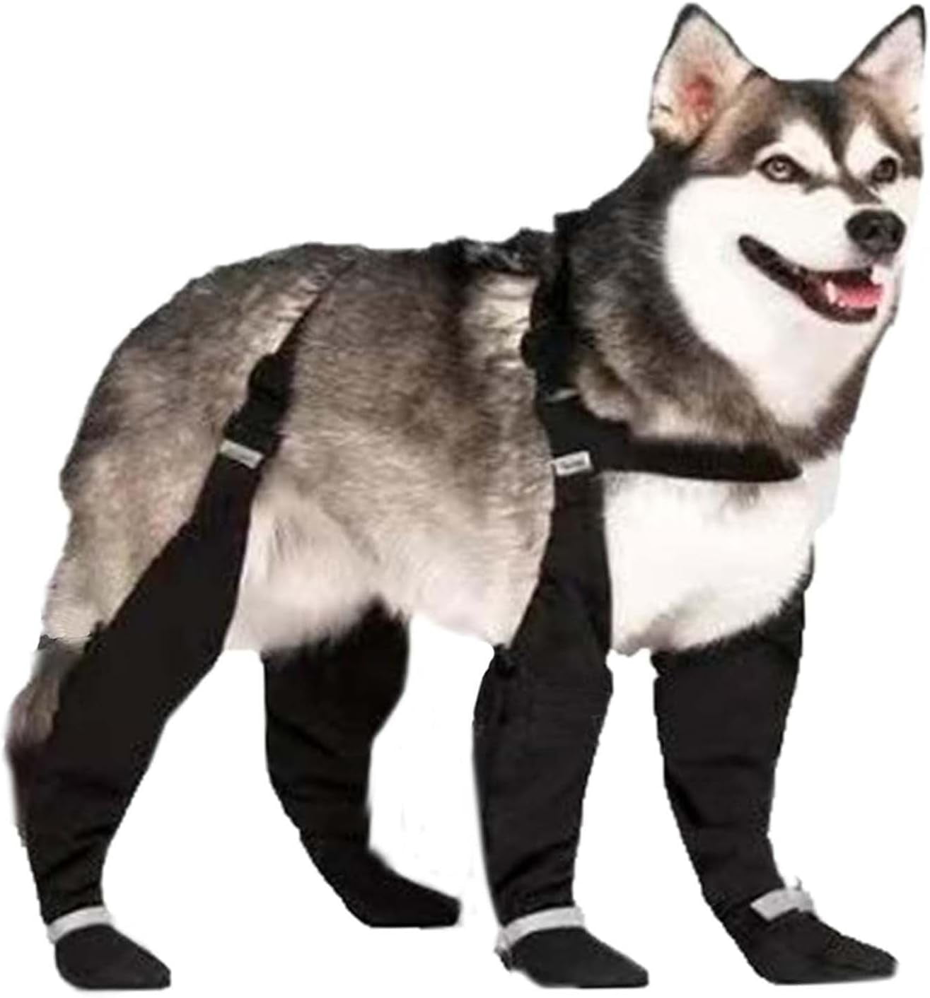 Suspender Boots for Dogs, Waterproof Dog Boots, Dog Paw Boot Leggings ...