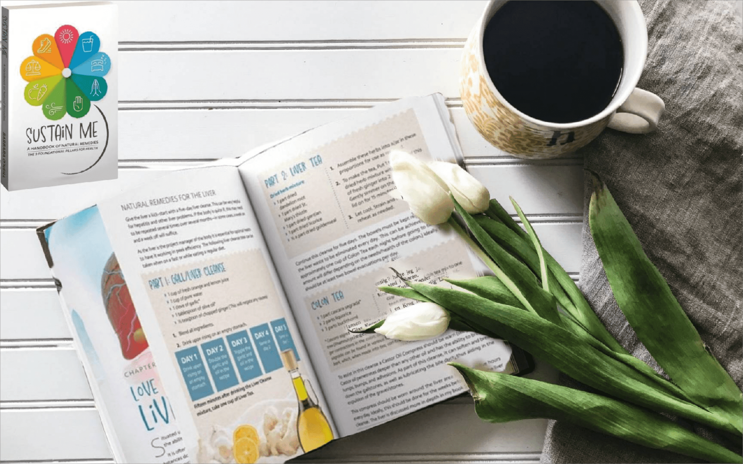 Sustain Me by Barbara O'Neill Book: Safe and Effective Alternatives to ...