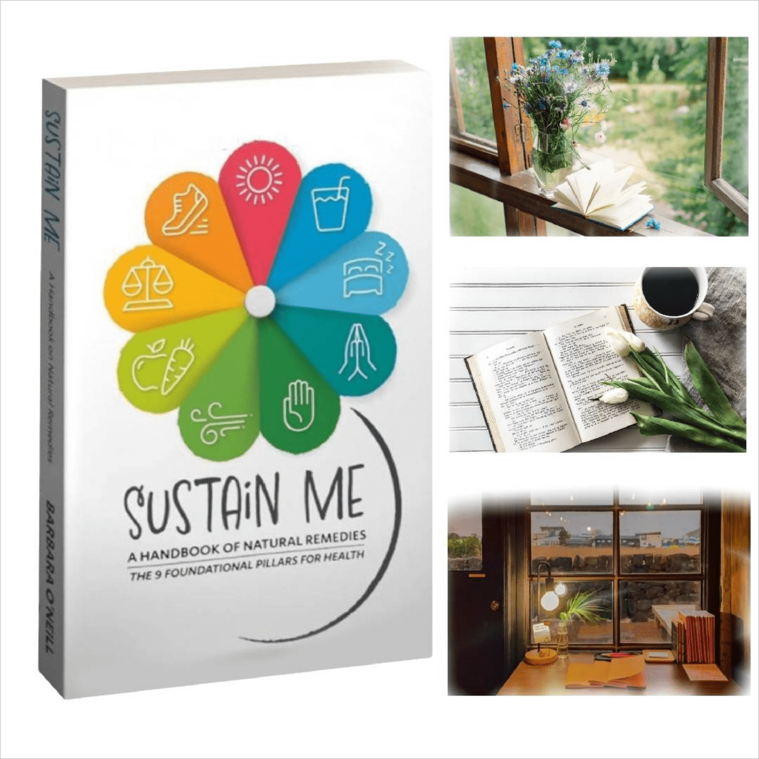 Sustain Me by Barbara O'Neill Book: Safe and Effective Alternatives to ...