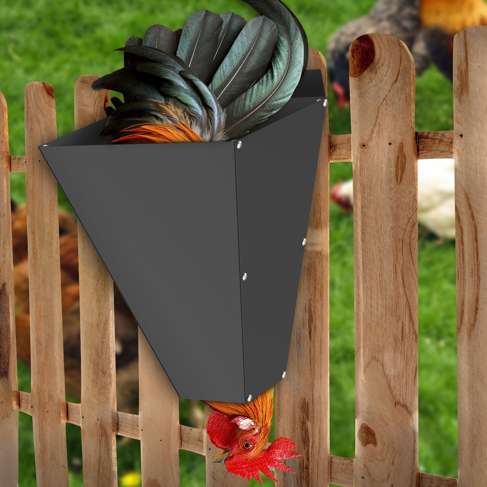 Sutowe Chicken Cone Iron Poultry Restraining Cone Reusable Chicken ...