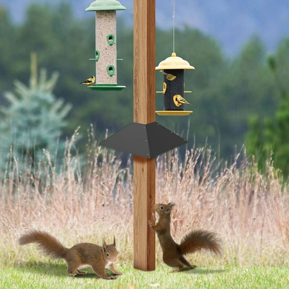 Sutowe Metal Serrated Squirrel Proof Baffle for Bird Feeder Poles ...