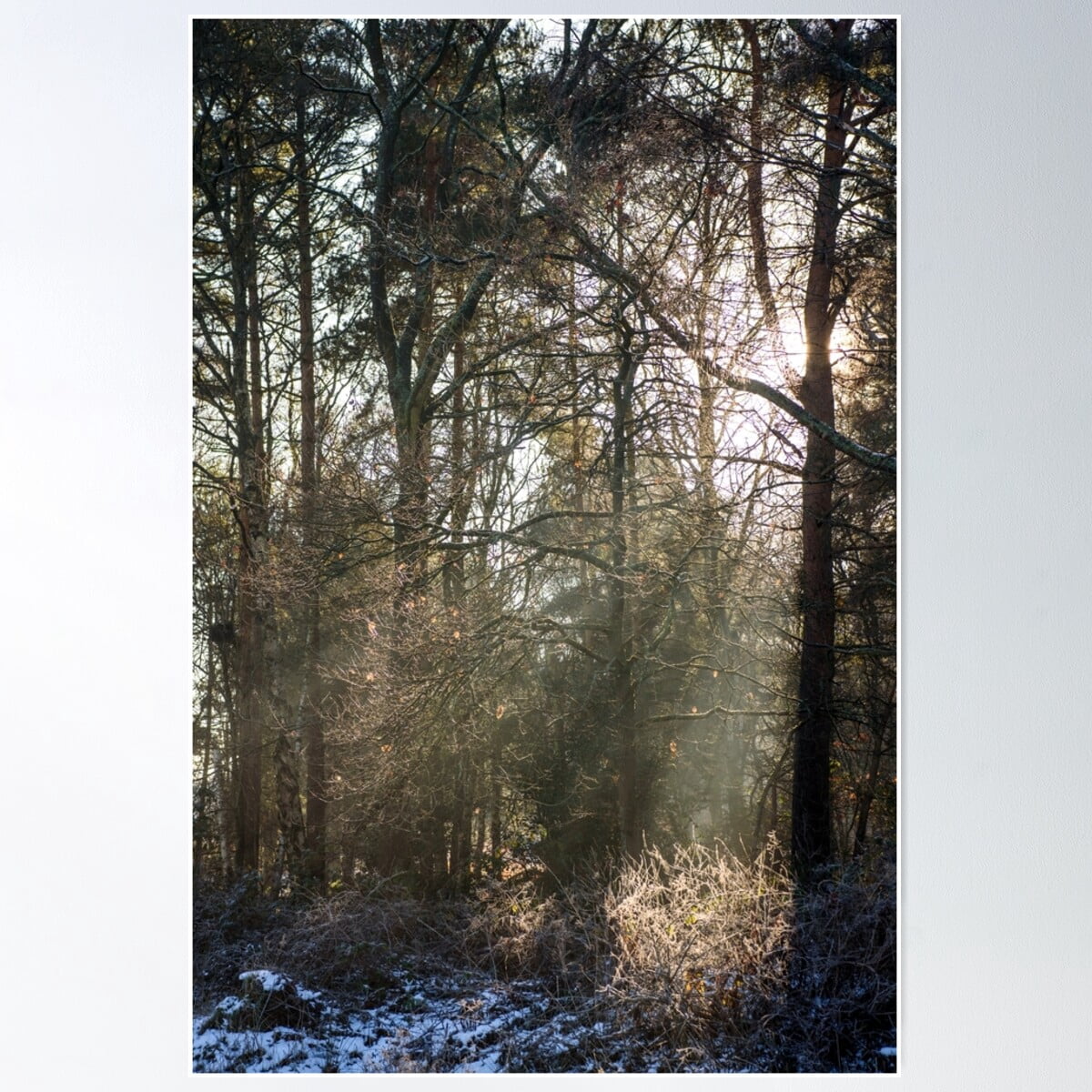 Sutton Park Winter Scene Poster Wall Art, Modern Wall Decor For Living ...