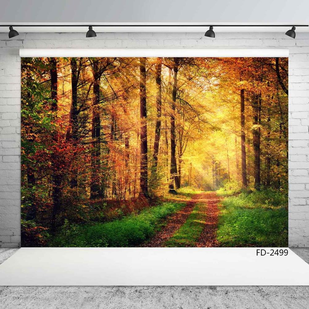 Sutumn Forest Road Grass Fall Woods Path Portrait Children Newborn ...