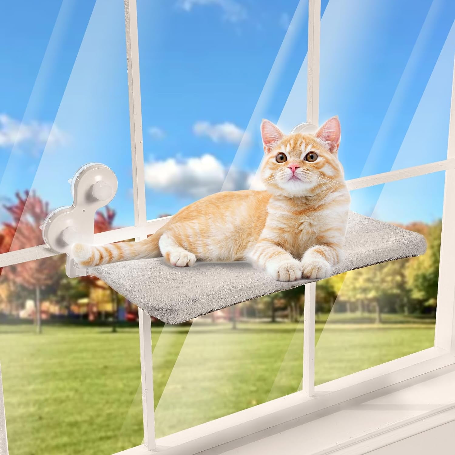 Suyfhdc Cat Window Perch,Cat Hammock,Cat Window Bed with 4 Suction Cups ...