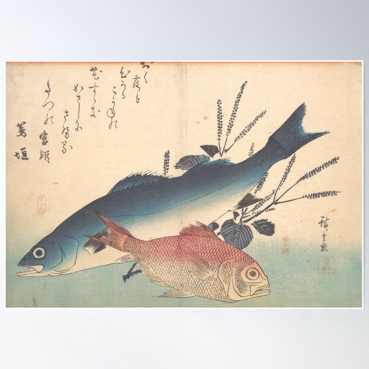 Suzuki And Kinmedai Fish From The Series Uozukushi (Every ... Poster ...