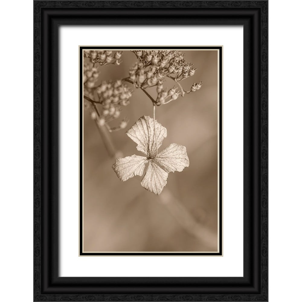 Suzuki, Takashi 11x14 Black Ornate Wood Framed with Double Matting ...