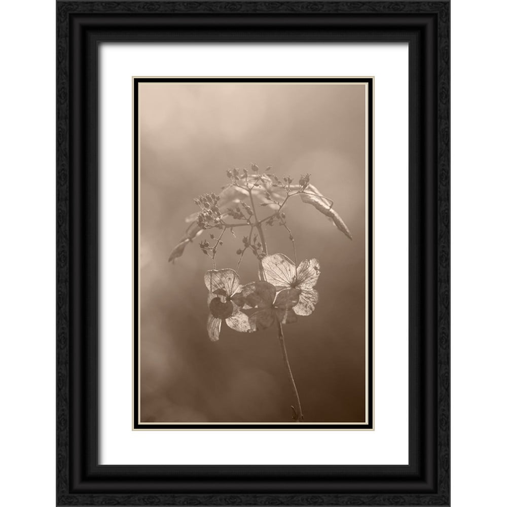 Suzuki, Takashi 11x14 Black Ornate Wood Framed with Double Matting ...