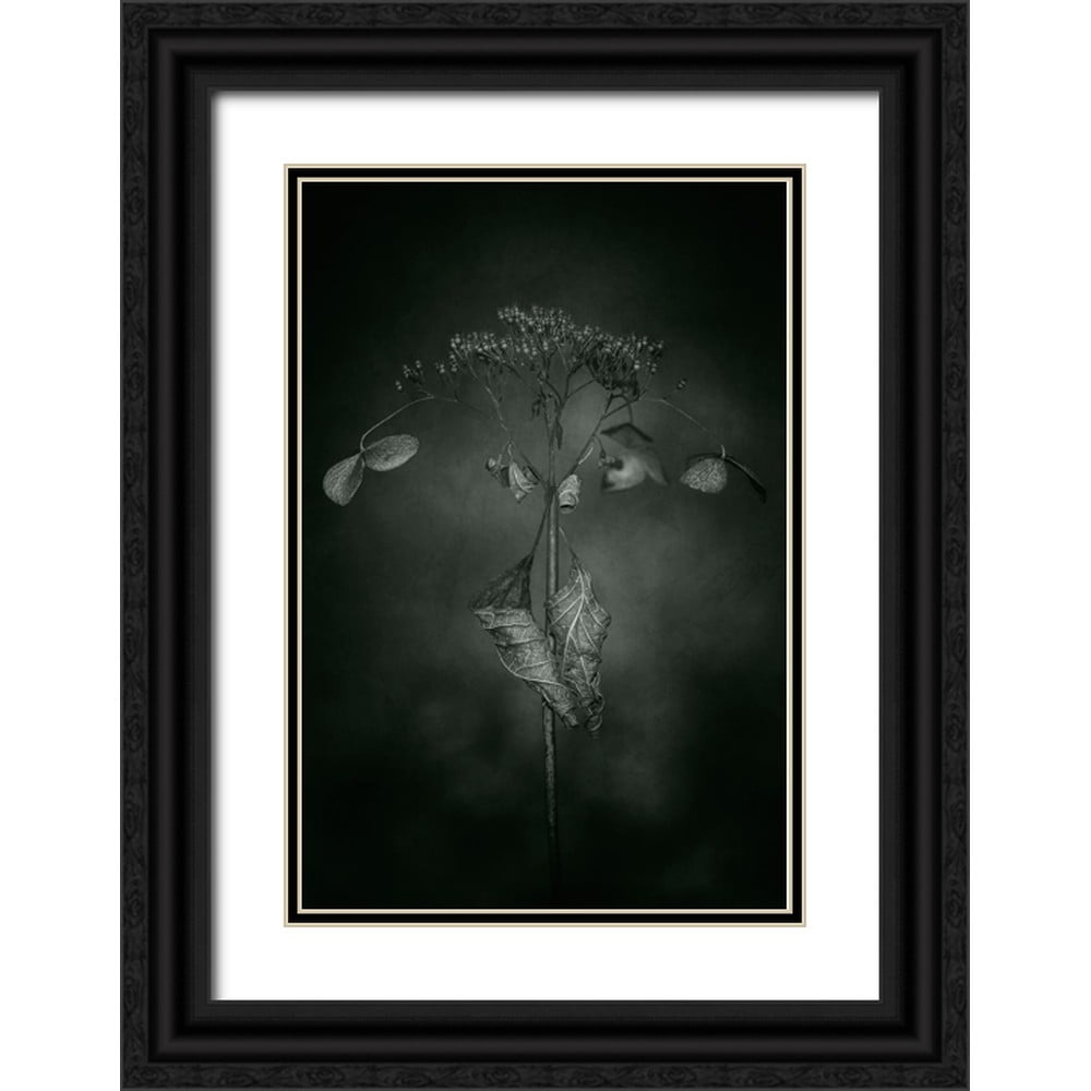 Suzuki, Takashi 11x14 Black Ornate Wood Framed with Double Matting ...