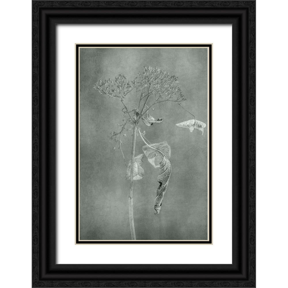 Suzuki, Takashi 11x14 Black Ornate Wood Framed with Double Matting ...