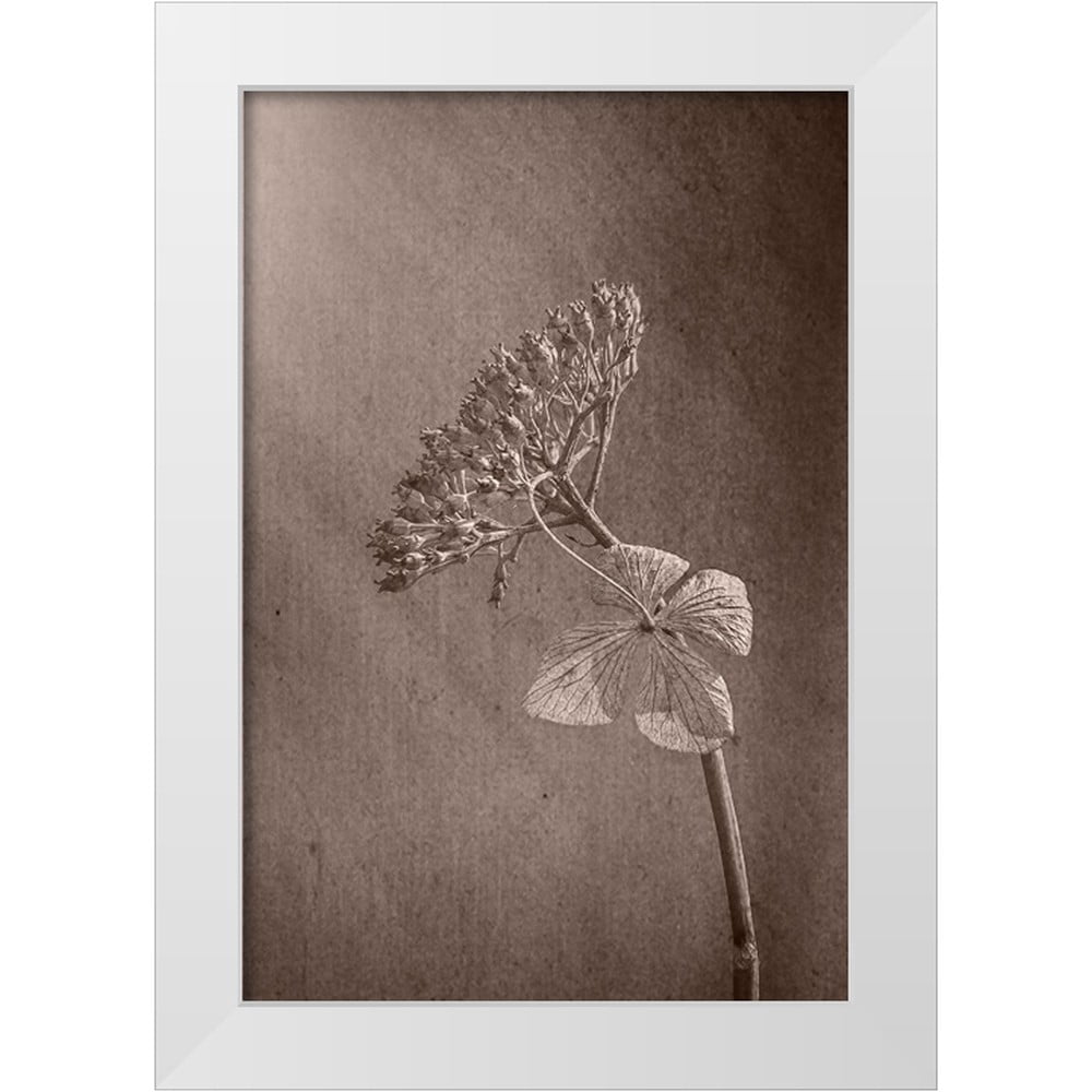 Suzuki, Takashi 11x14 White Modern Wood Framed Museum Art Print Titled ...