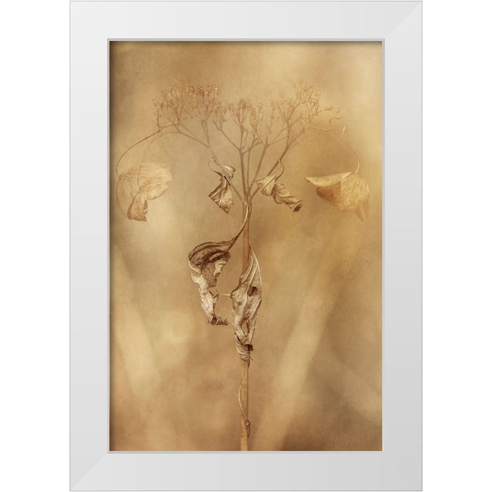 Suzuki, Takashi 11x14 White Modern Wood Framed Museum Art Print Titled ...