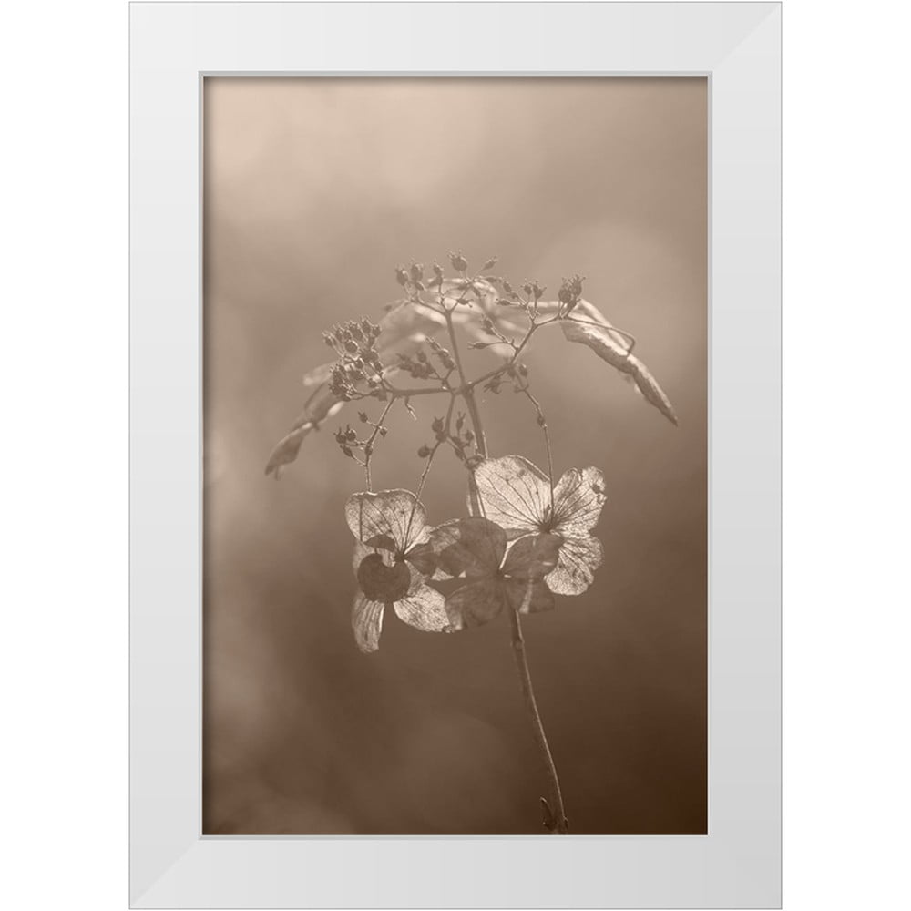 Suzuki, Takashi 13x18 White Modern Wood Framed Museum Art Print Titled ...