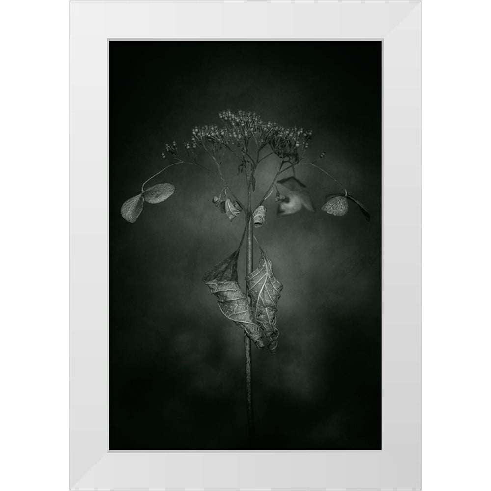 Suzuki, Takashi 13x18 White Modern Wood Framed Museum Art Print Titled ...