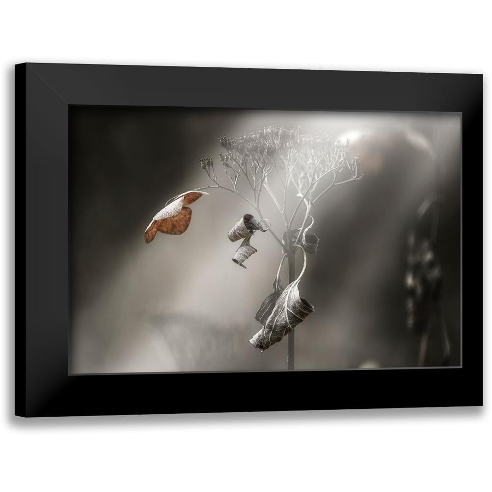 Suzuki, Takashi 14x11 Black Modern Framed Museum Art Print Titled ...