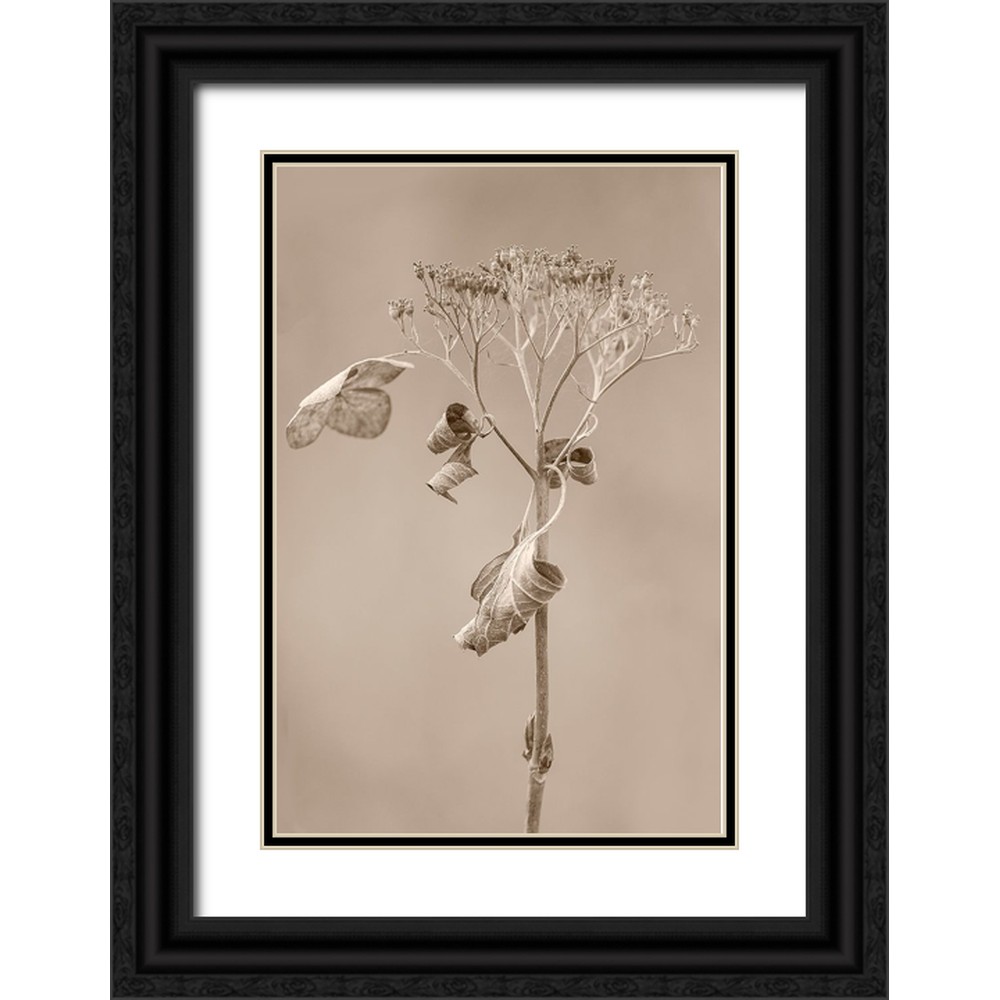 Suzuki, Takashi 17x24 Black Ornate Wood Framed with Double Matting ...