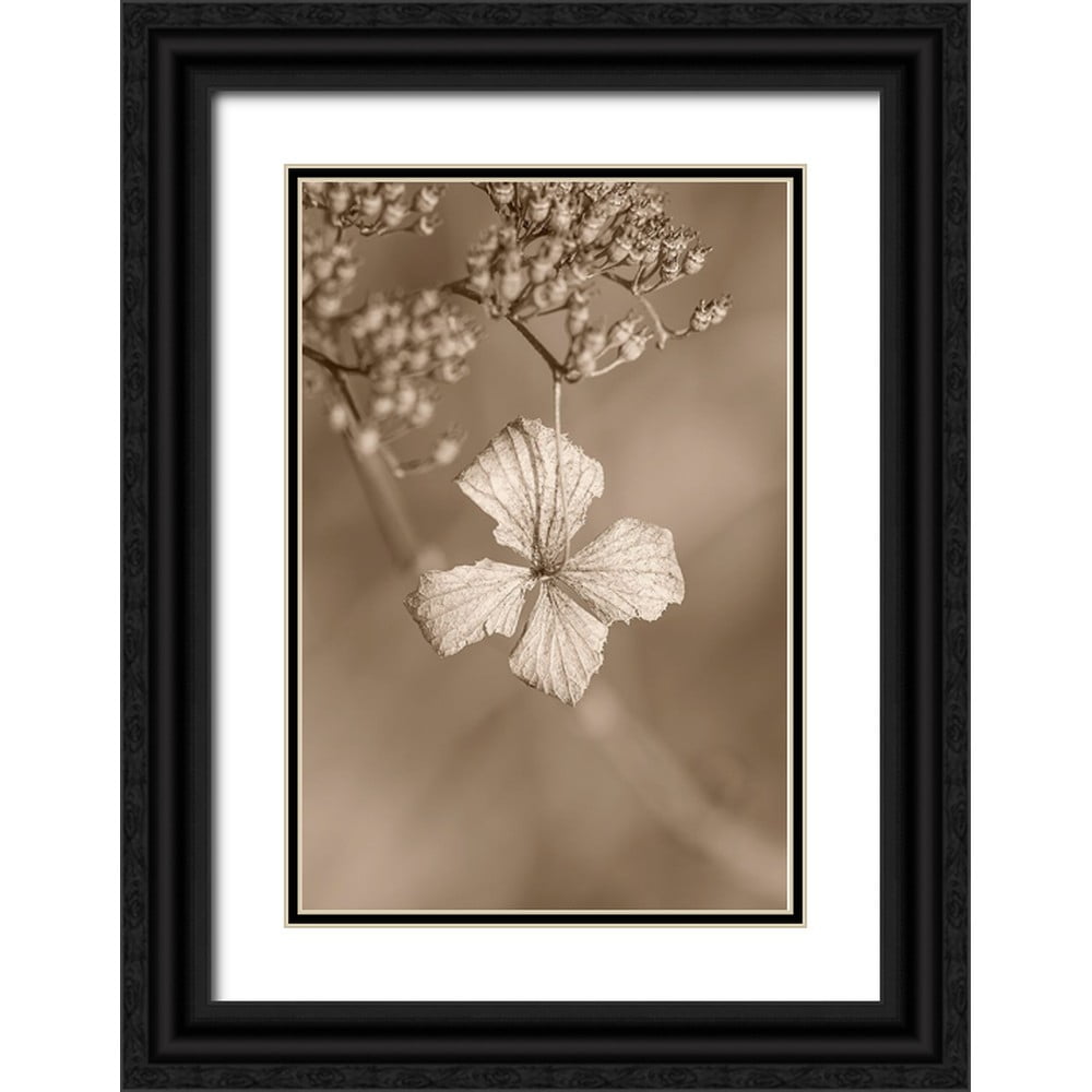 Suzuki, Takashi 17x24 Black Ornate Wood Framed with Double Matting ...