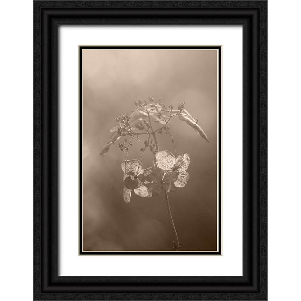 Suzuki, Takashi 17x24 Black Ornate Wood Framed with Double Matting ...
