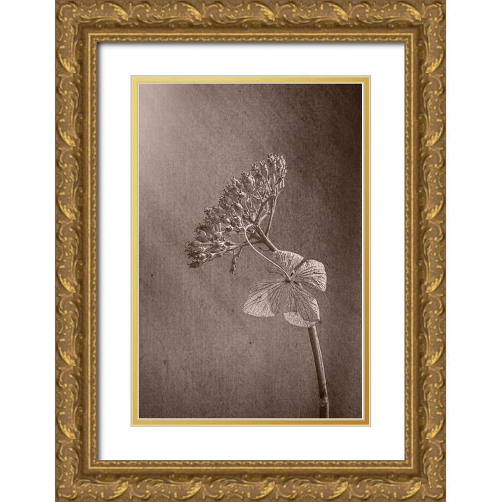 Suzuki, Takashi 17x24 Gold Ornate Wood Framed with Double Matting ...