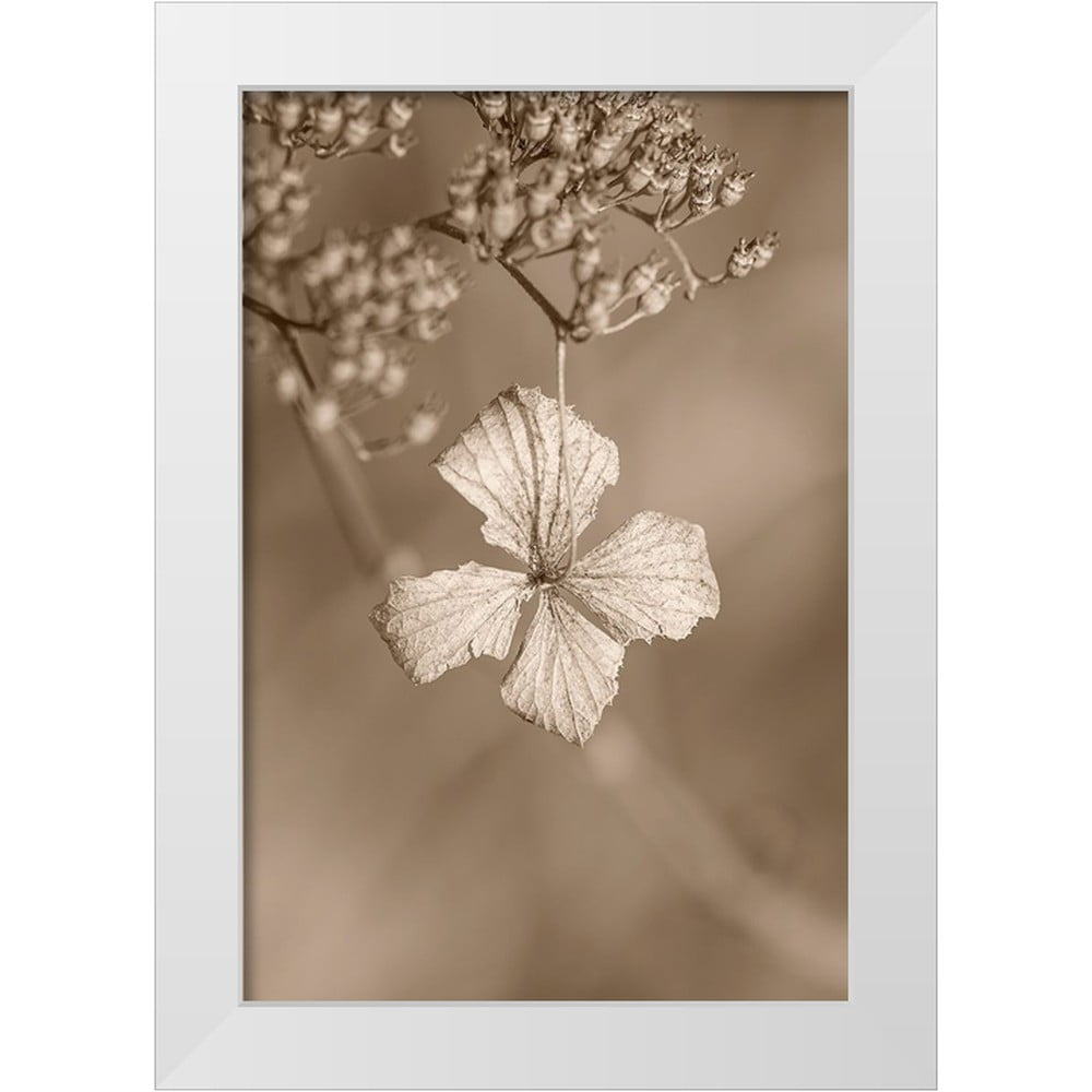 Suzuki, Takashi 17x24 White Modern Wood Framed Museum Art Print Titled ...