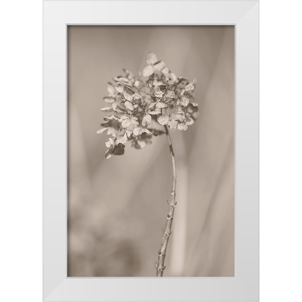 Suzuki, Takashi 17x24 White Modern Wood Framed Museum Art Print Titled ...