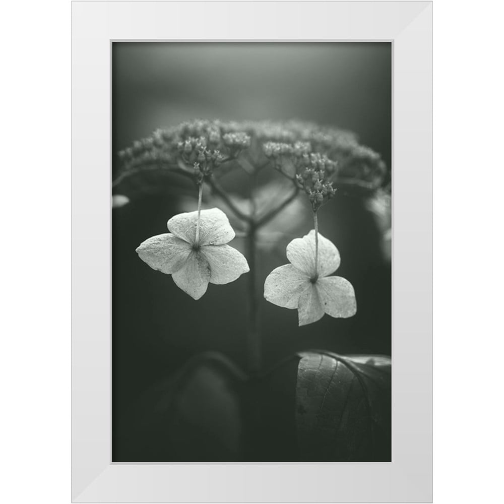 Suzuki, Takashi 17x24 White Modern Wood Framed Museum Art Print Titled ...