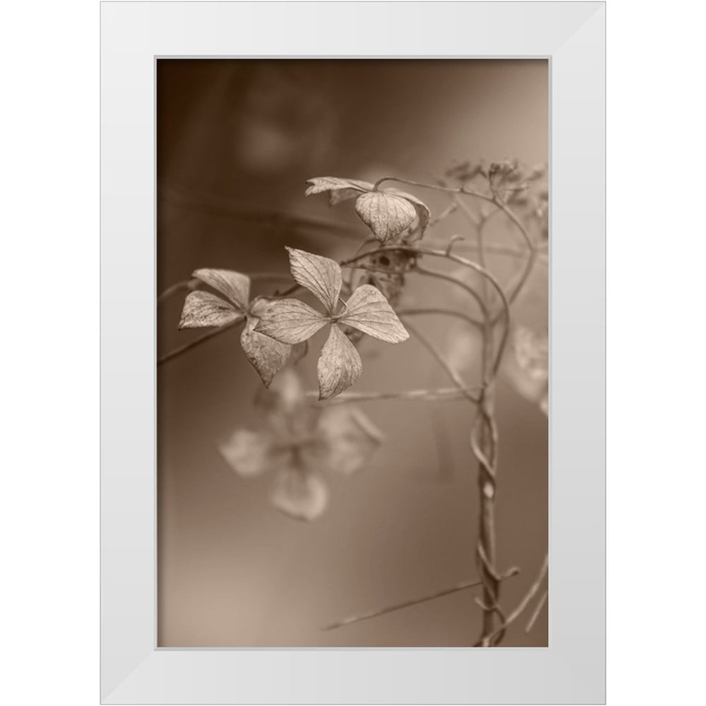 Suzuki, Takashi 17x24 White Modern Wood Framed Museum Art Print Titled ...