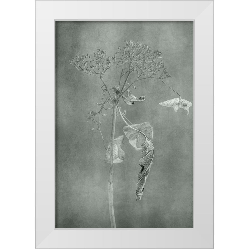 Suzuki, Takashi 17x24 White Modern Wood Framed Museum Art Print Titled ...