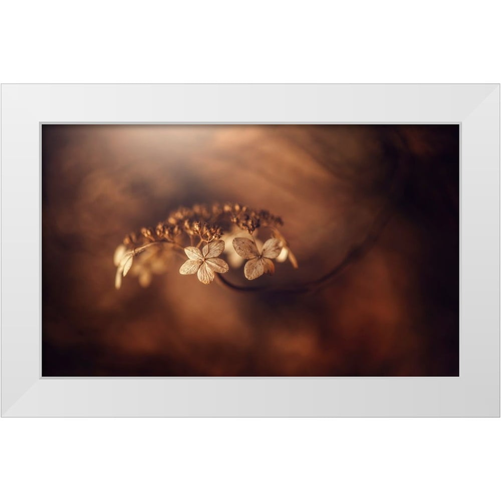 Suzuki, Takashi 18x12 White Modern Wood Framed Museum Art Print Titled ...