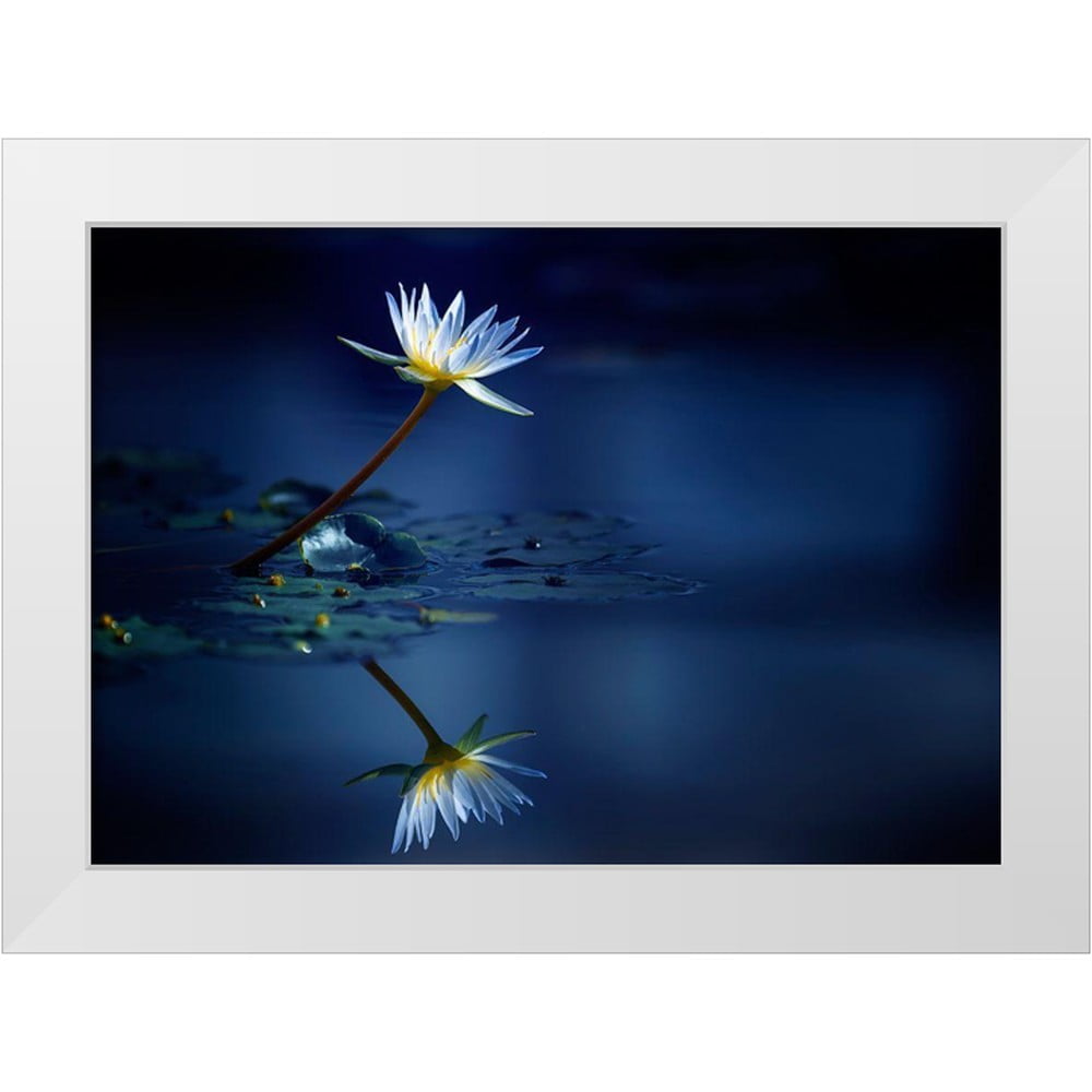 Suzuki, Takashi 18x14 White Modern Wood Framed Museum Art Print Titled ...