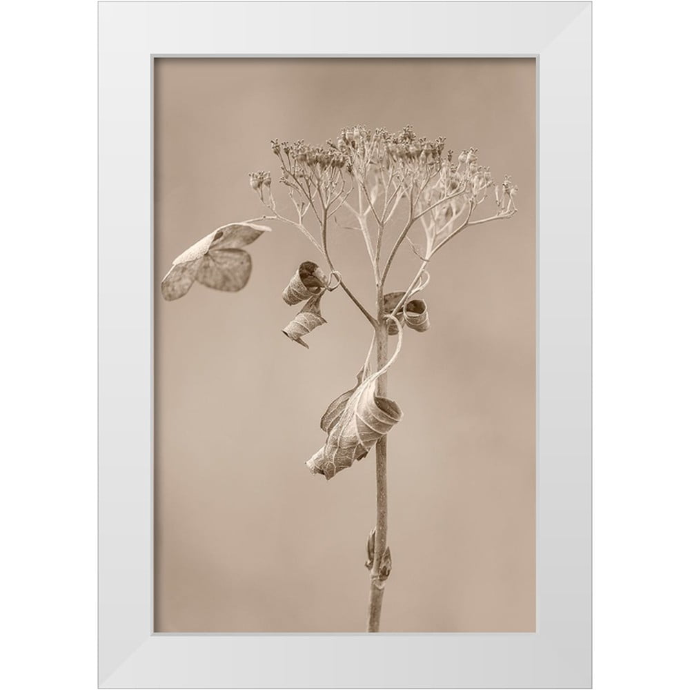 Suzuki, Takashi 23x32 White Modern Wood Framed Museum Art Print Titled ...