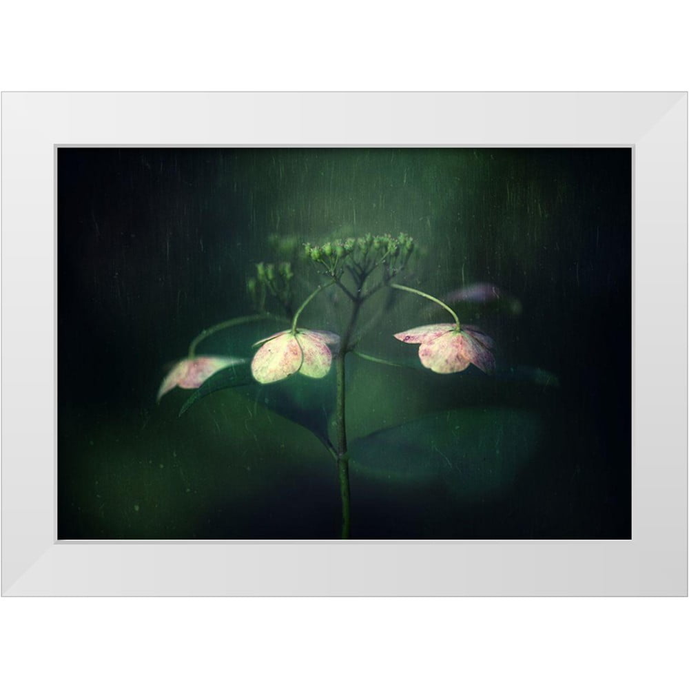 Suzuki, Takashi 24x18 White Modern Wood Framed Museum Art Print Titled ...