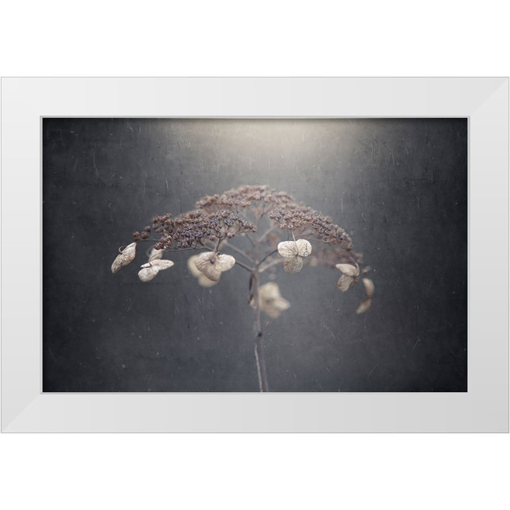 Suzuki, Takashi 32x22 White Modern Wood Framed Museum Art Print Titled ...