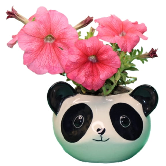 Panda Planter