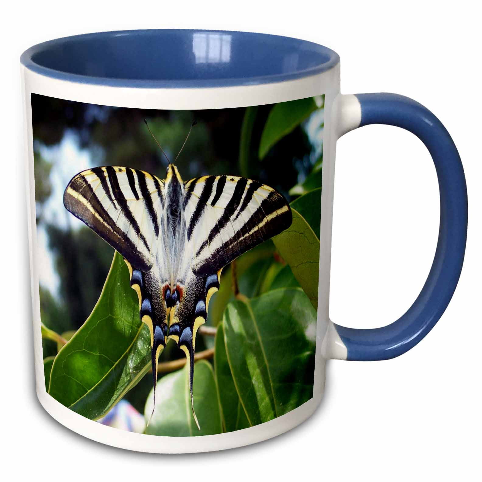 3drose, Swallowtail Butterfly Resting on Oleander Leaves, 11oz Two-tone ...