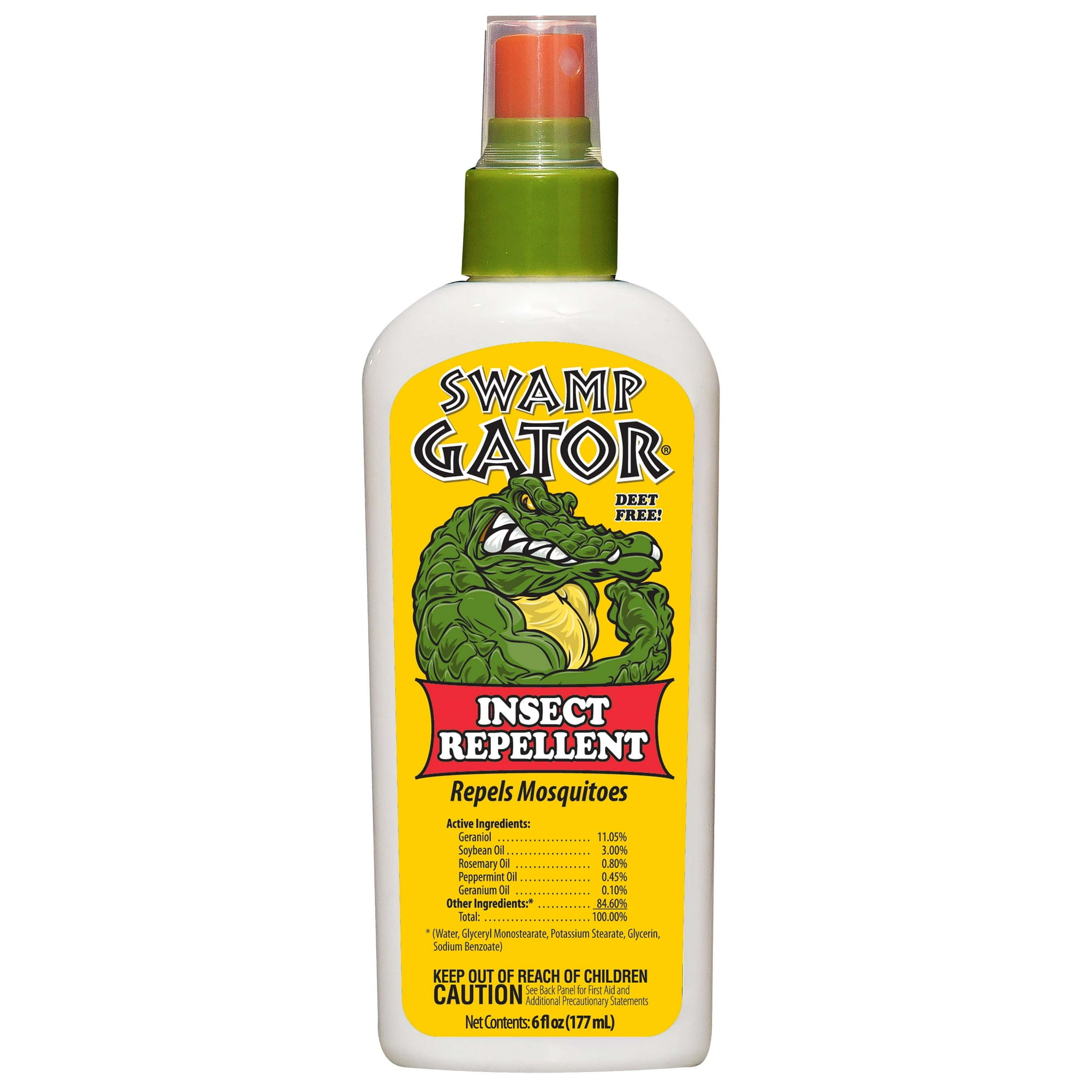 All The Swamp Insects