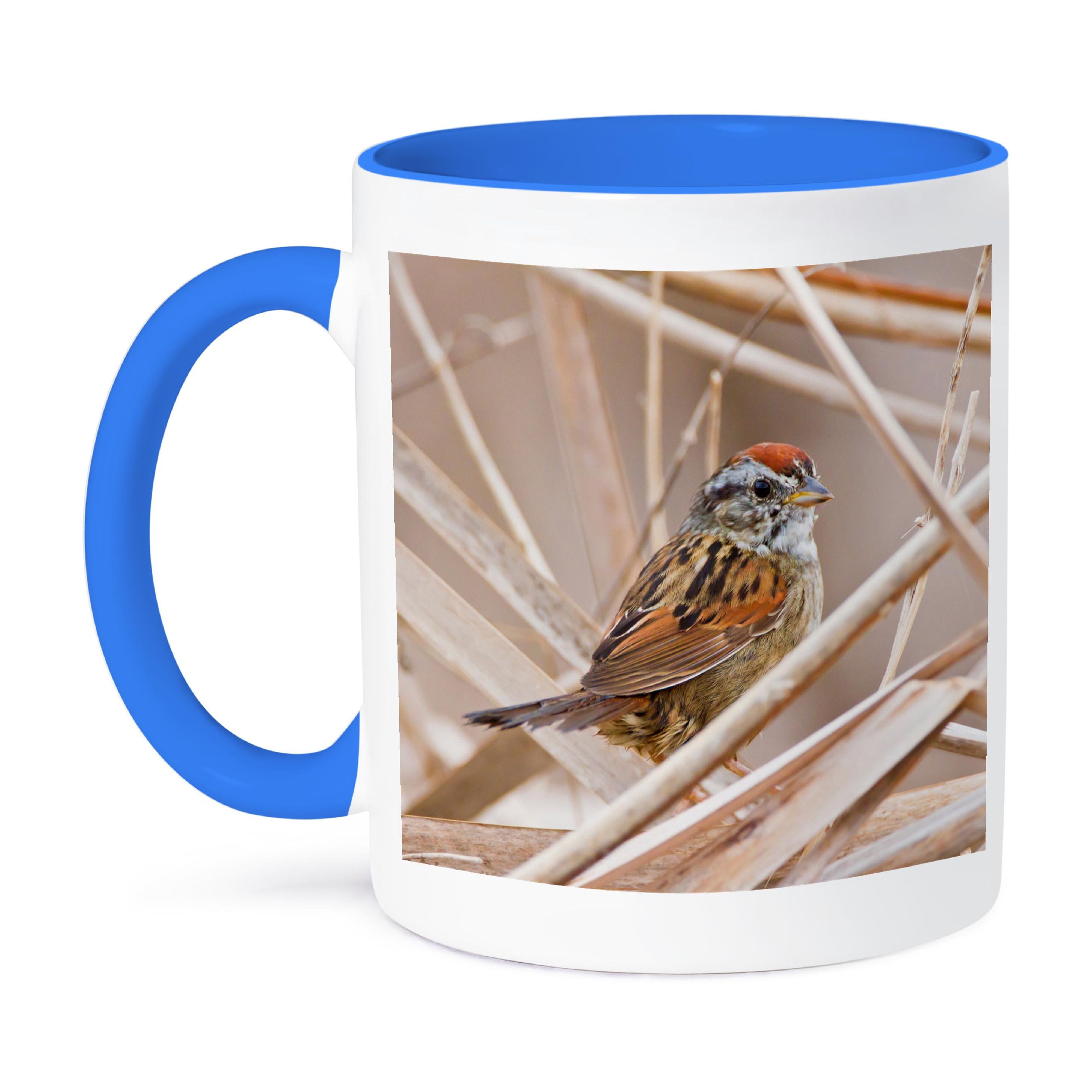 Swamp Sparrow, Melospiza Georgiana, In Cattails, Texas, Usa, 15oz Two ...