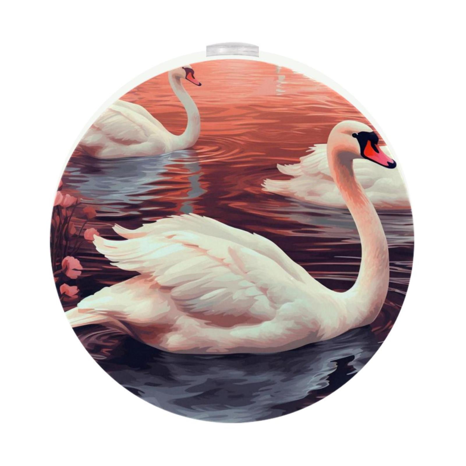 Swan LED Round Night Light-2PCS, Plug-in Auto Dusk to Dawn Sensor ...