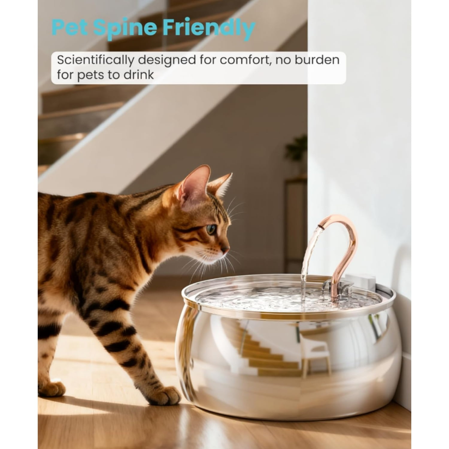 Swan Neck Cat Water Fountain - Elegant Swan Neck Copper Spout Design ...