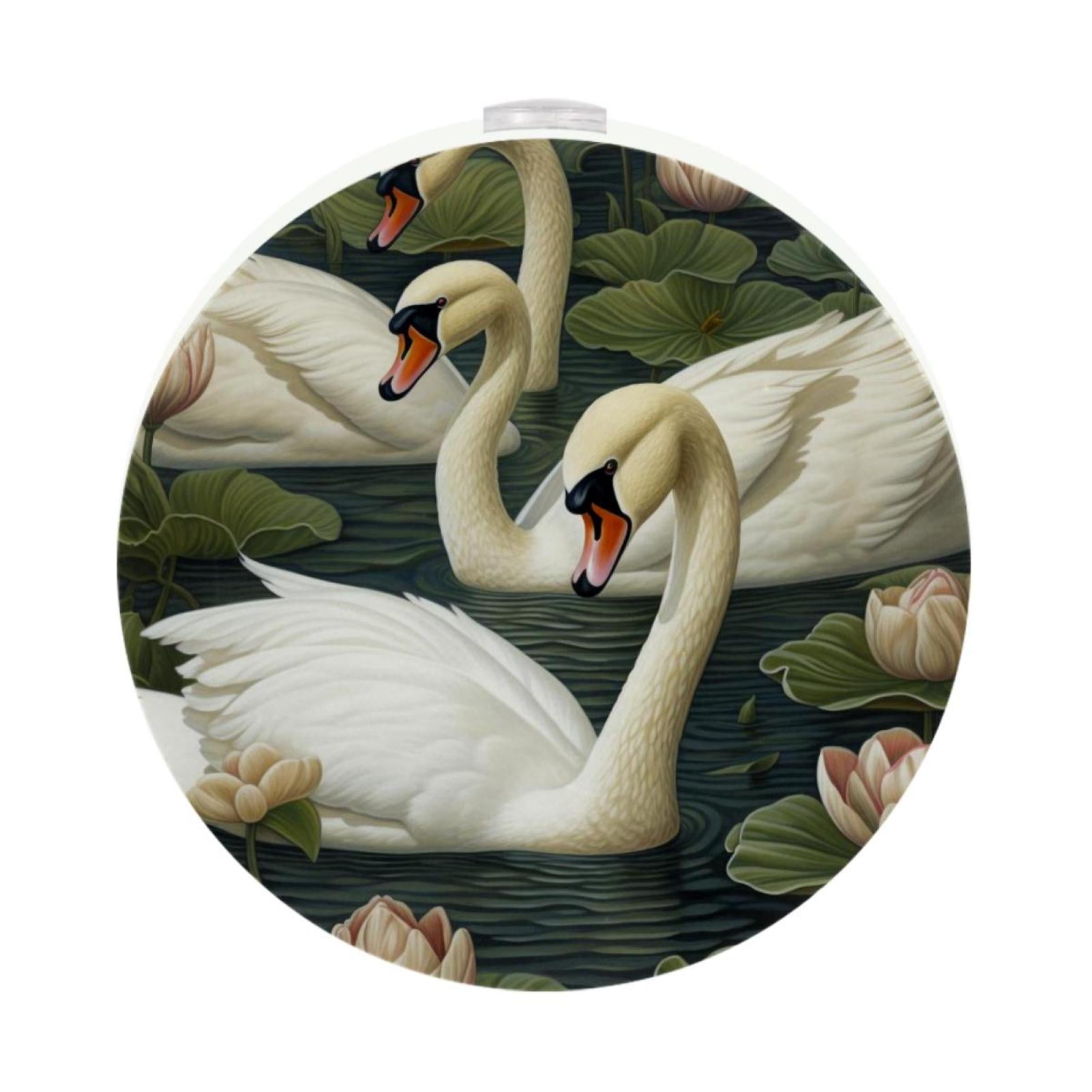 Swan Round LED Night Light-2PCS, Portable Plug-in Wall Lamp with Soft ...