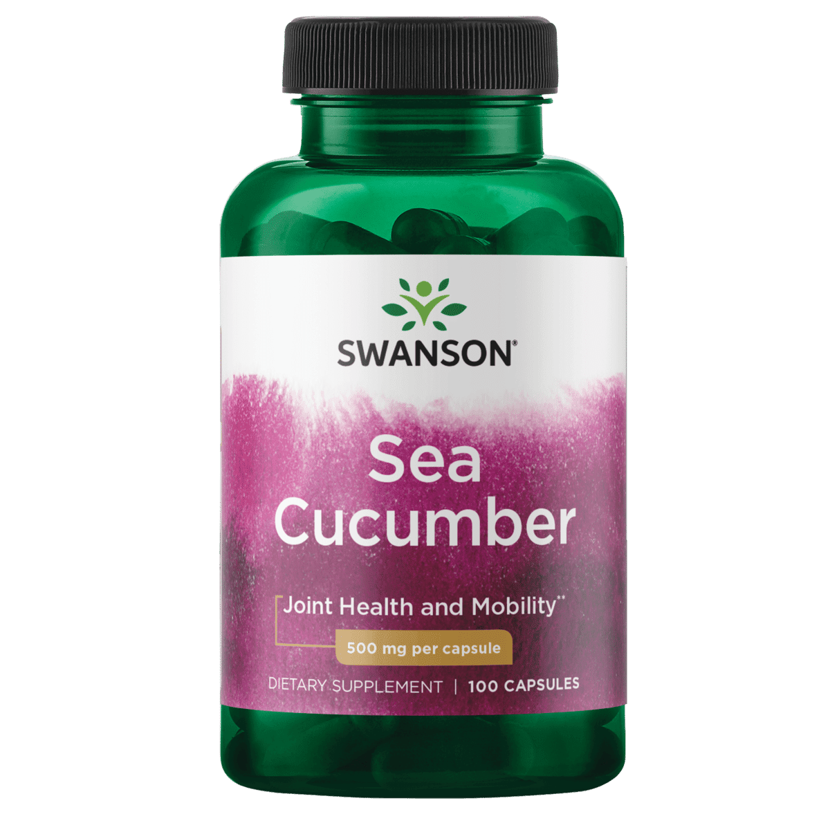 Swanson Sea Cucumber Supplement, 500mg Capsules, Supports Joint Health ...