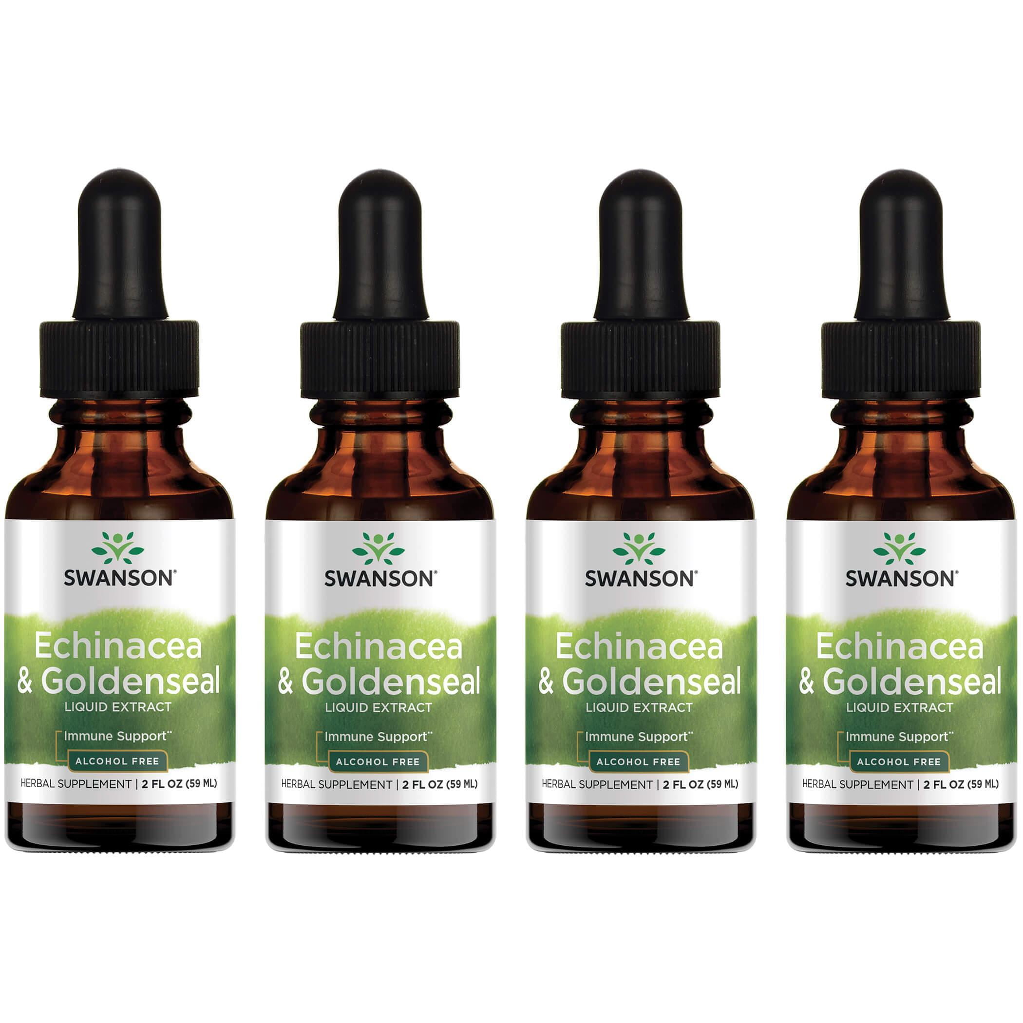 Swanson Echinacea & Goldenseal Liquid Extract - Alcohol Free 2 fl oz ...