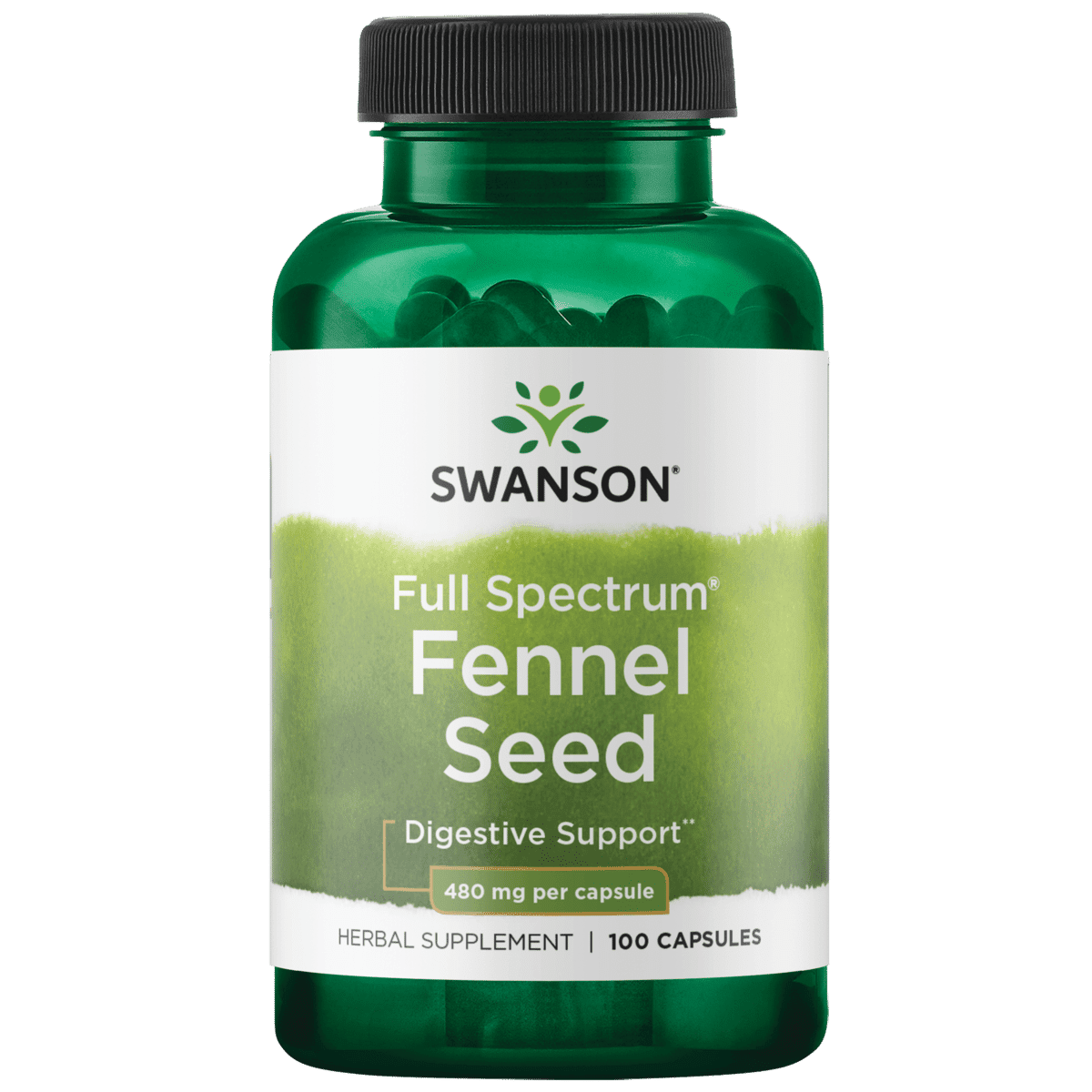 Swanson Fennel Seed Supplement, 480 mg, 100 Capsules - Walmart.com