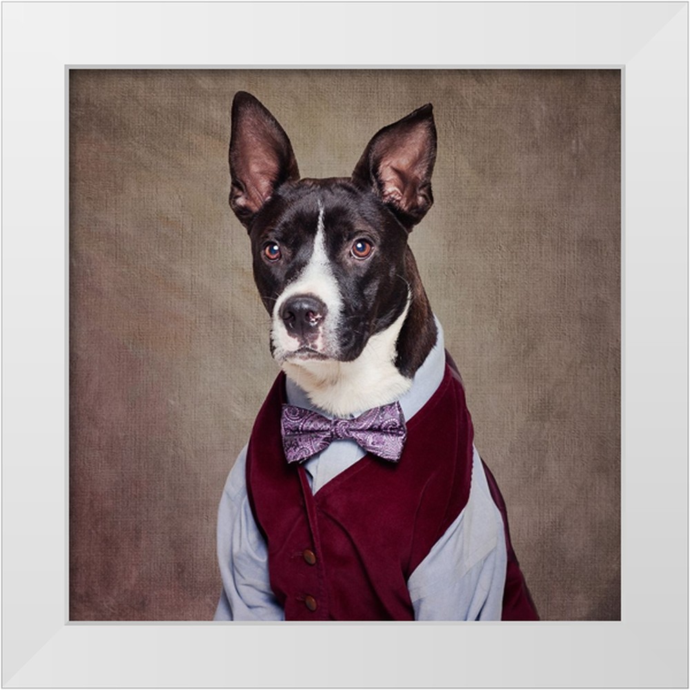 Swarek, Tammy 12x12 White Modern Wood Framed Museum Art Print Titled - Shelter Pets Project ...
