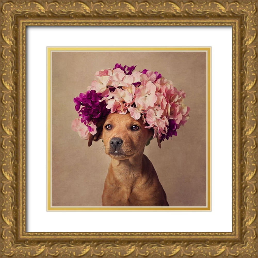 Swarek, Tammy 26x26 Gold Ornate Wood Framed with Double Matting Museum Art Print Titled - Lady ...