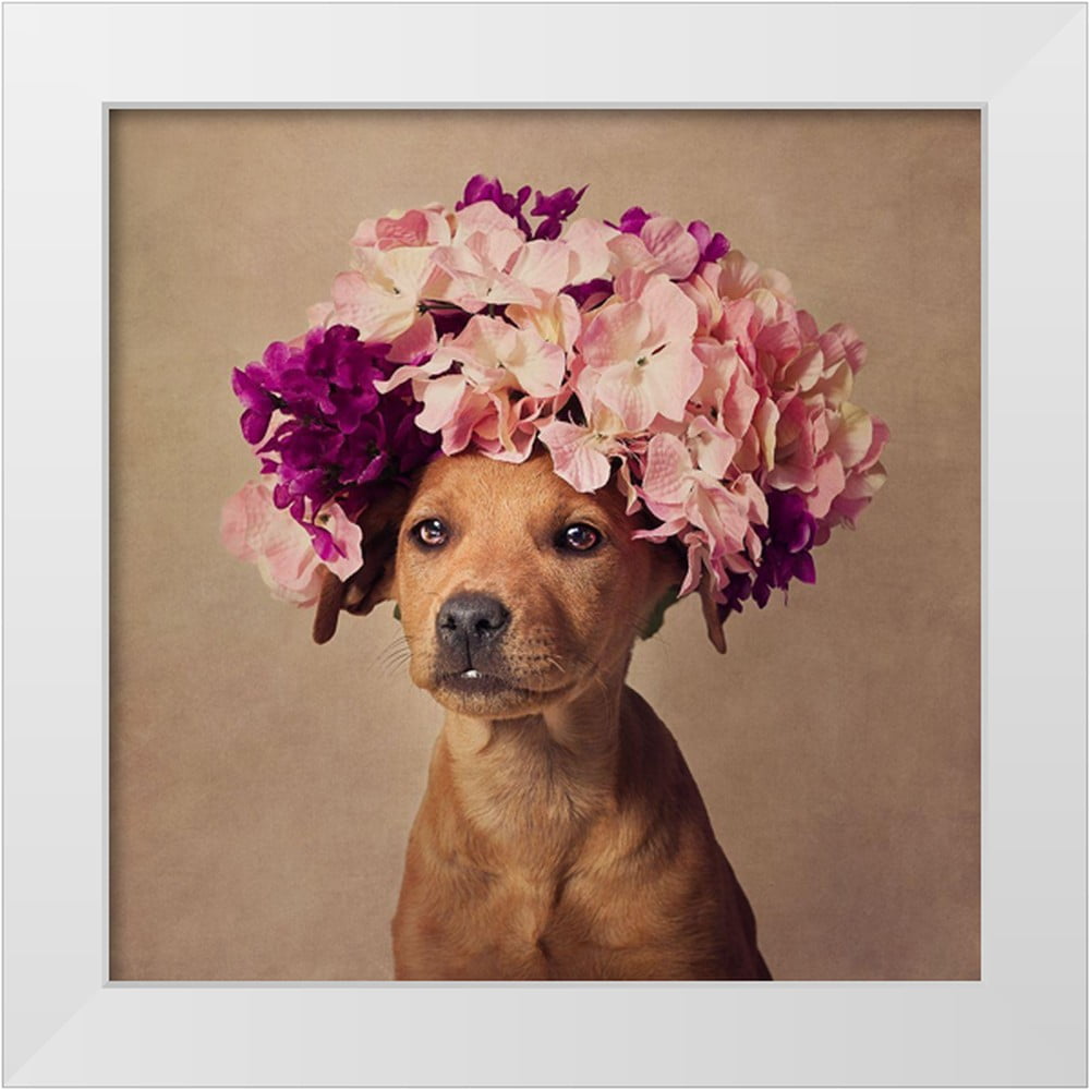 Swarek, Tammy 26x26 White Modern Wood Framed Museum Art Print Titled - Lady - Walmart.com