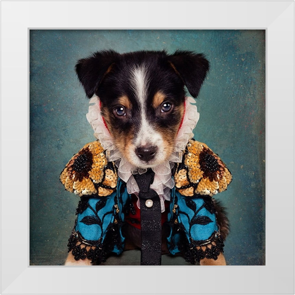 Swarek, Tammy 26x26 White Modern Wood Framed Museum Art Print Titled - Shelter Pets Project ...