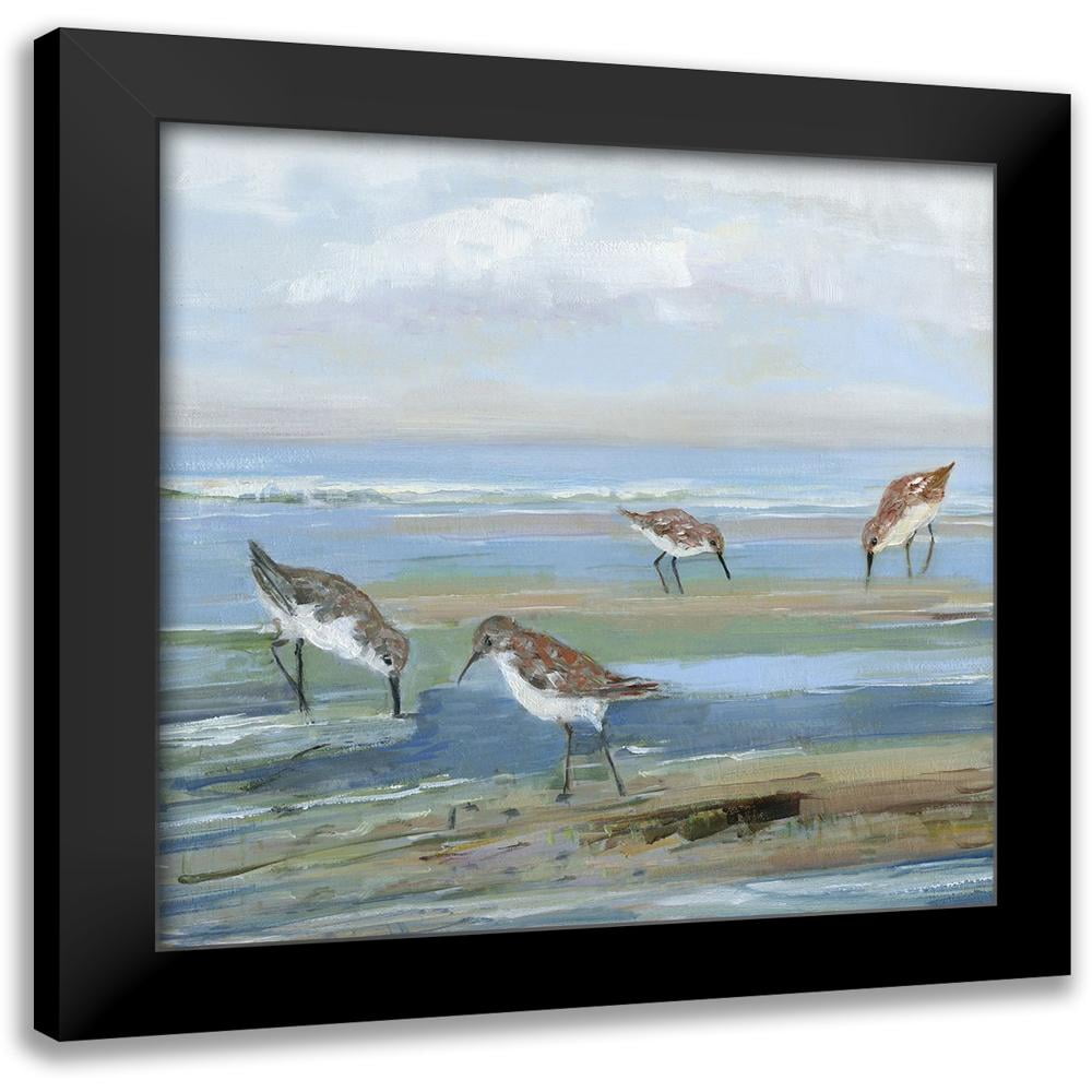 Swatland, Sally 15x15 Black Modern Framed Museum Art Print Titled - Seabird Beach III - Walmart.com