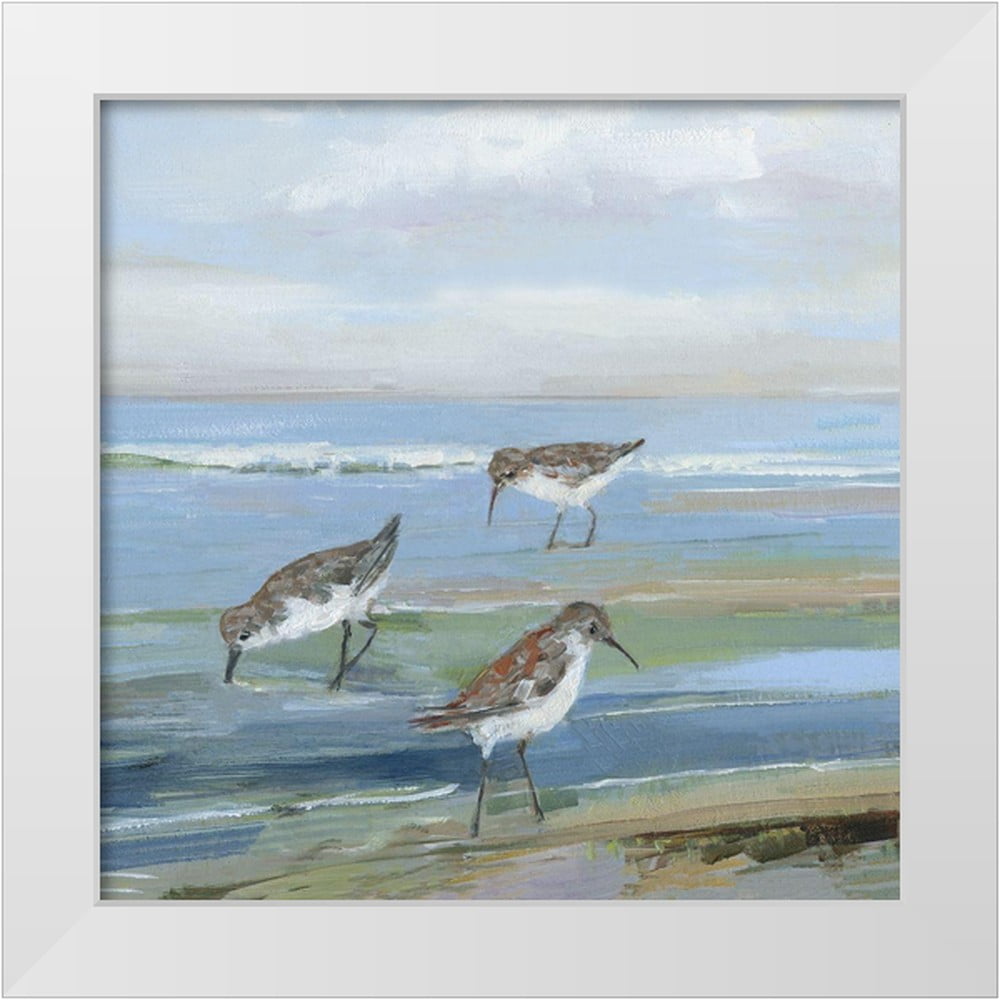Swatland, Sally 26x26 White Modern Wood Framed Museum Art Print Titled - Seabird Beach I ...
